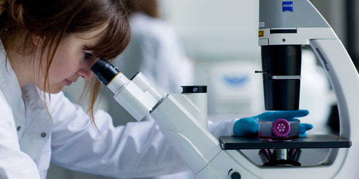 Open PhD or Postdoc position in Bacterial Pathogen Metabolism ...